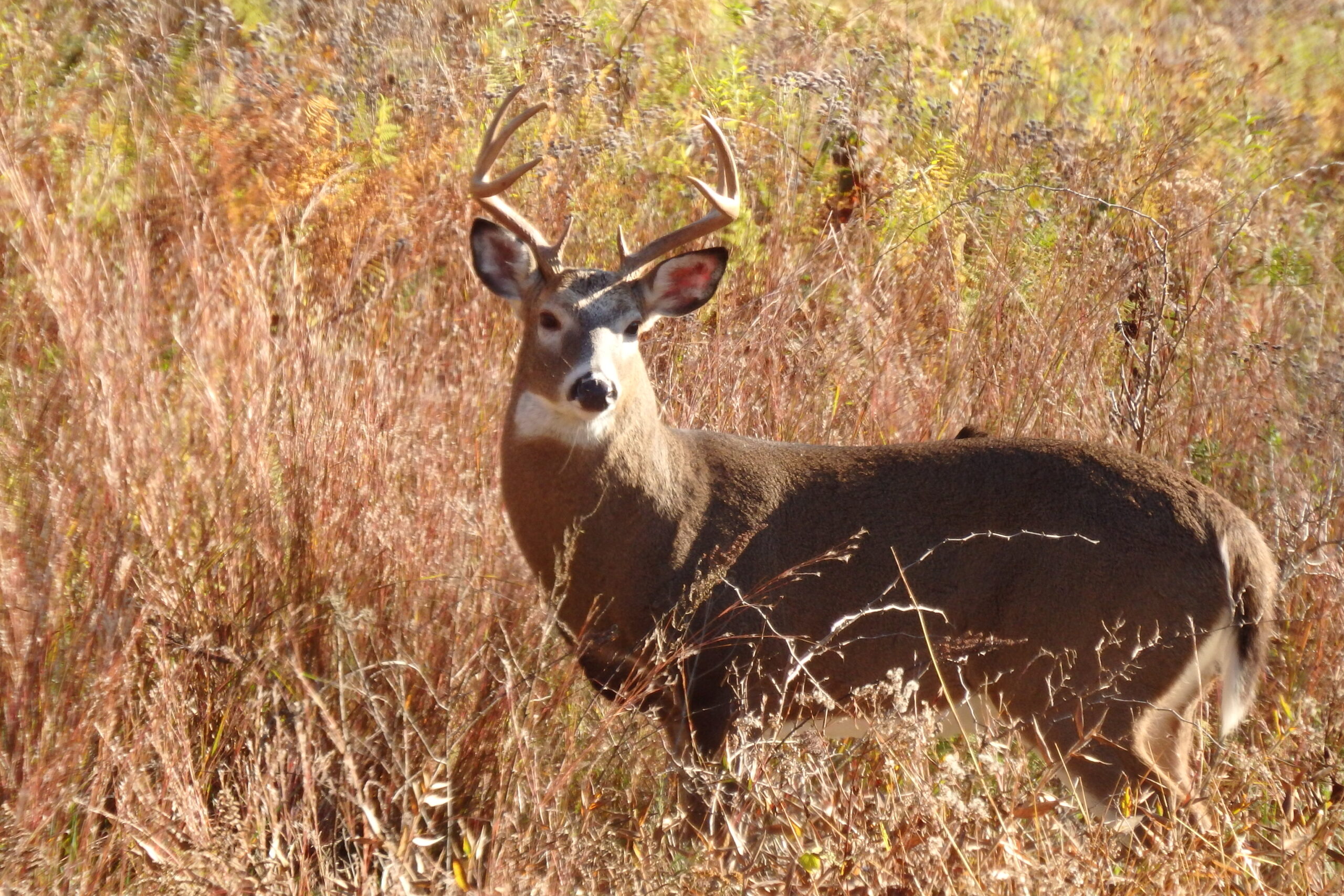 HUNTING / MCCSA - Merrill Creek Reservoir