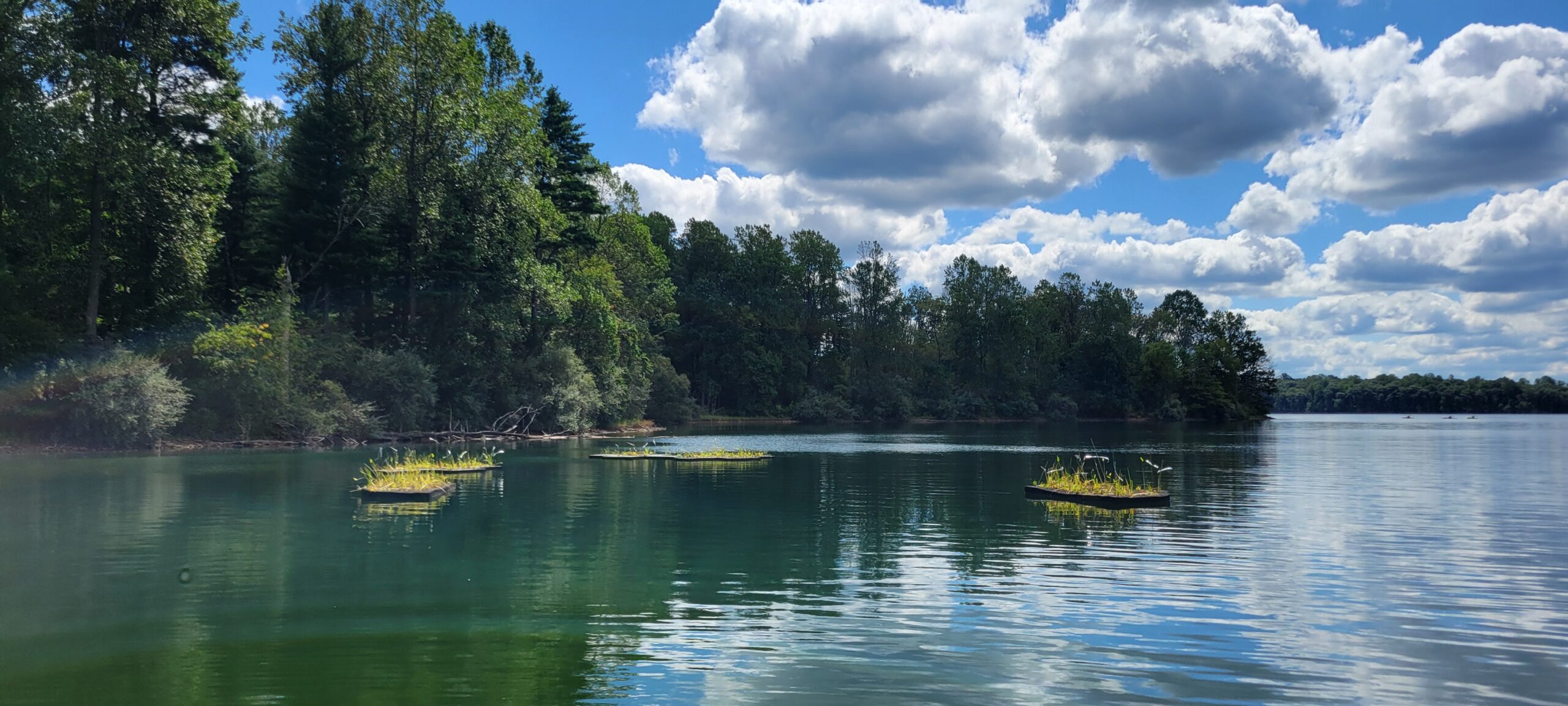 Floating Wetlands at MCR - Merrill Creek Reservoir