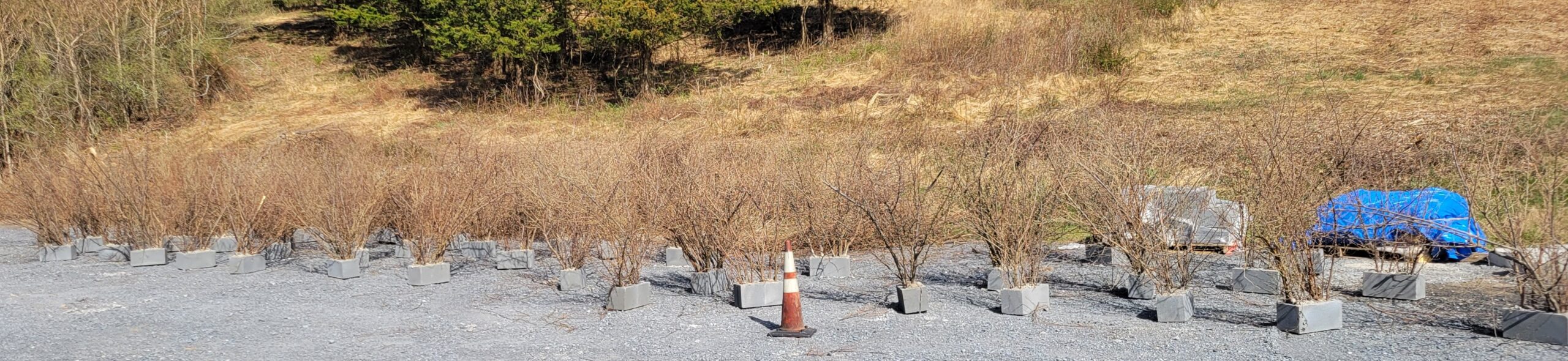 Repurposing Invasive Species Control Byproduct to Create Critical Fish ...